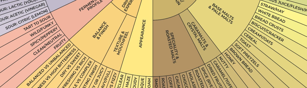 The Beer Flavour Wheel