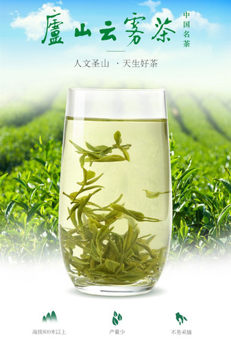 Lu Shan YunWu /Cloud-Fog Green Tea, Jiangxi Green Tea | Teawholesale
