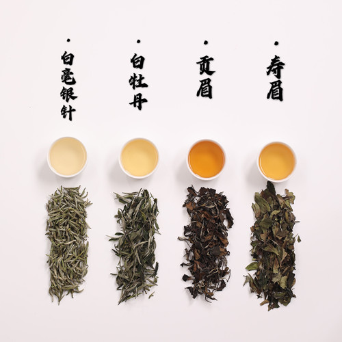 Meet China Famous Tea: Fu Ding White Tea (Sampler) | Teawholesale