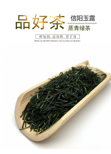 XinYang YuLu Organic Green Tea/Steamed Green Tea(Sencha),Tea Farm ...