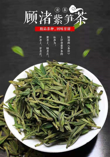 Gu Zhu Zi Sun Tea/Changxing Zi Sun Tea, Zhejiang Green Tea | Teawholesale