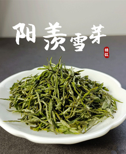 Yang Xian Xue Ya Tea/Yang Xian Snow Bud Tea, Jiangsu Green Tea ...