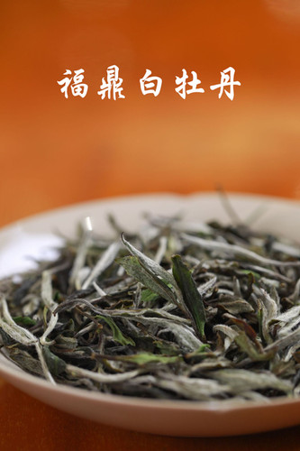 White Peony Tea/Bai Mu Dan Tea, Fu Ding White Tea Wholesa | Teawholesale