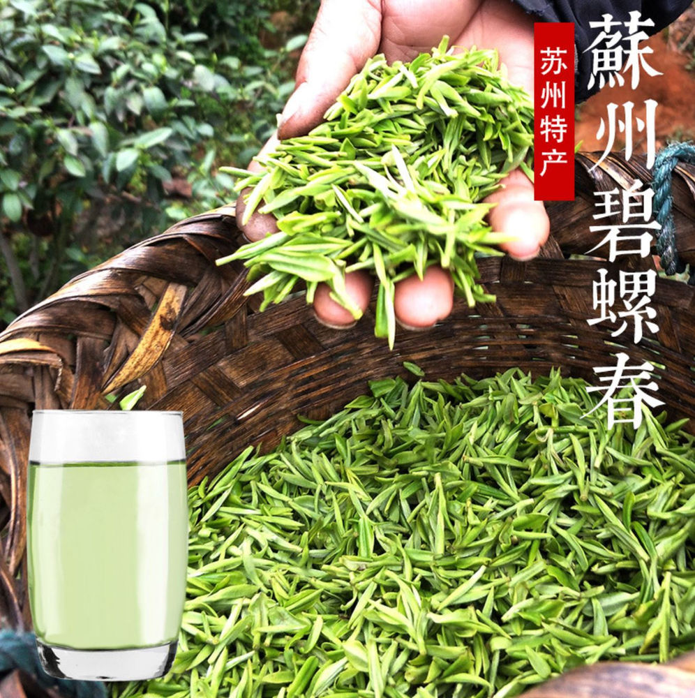 Dongting Biluochun Tea