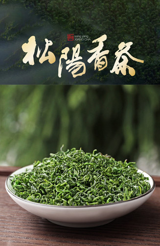 Song Yang Yin Hou Tea/Song Yang Xiang Cha, Zhejiang Green Tea ...