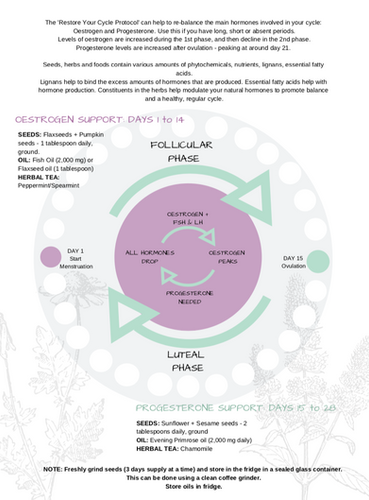 Seed Cycling Chart to Support Female Hormones | Sorcery Resources