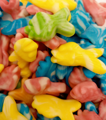 Swirly Fish | BeeSweet