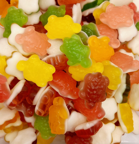 Multicoloured Jelly Turtles | BeeSweet