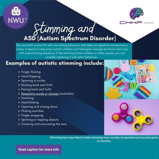 Understanding Stimming in Autism Spectrum Disorder | The Go-To Guy