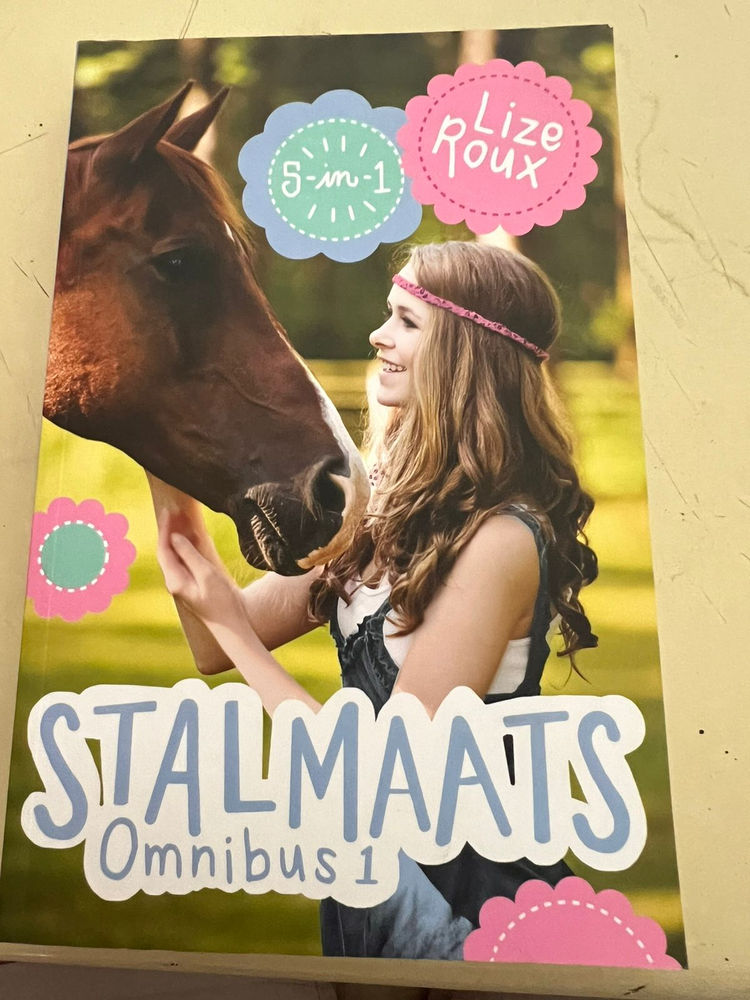 Boek te koop-Stalmaats | The Go-To Guy