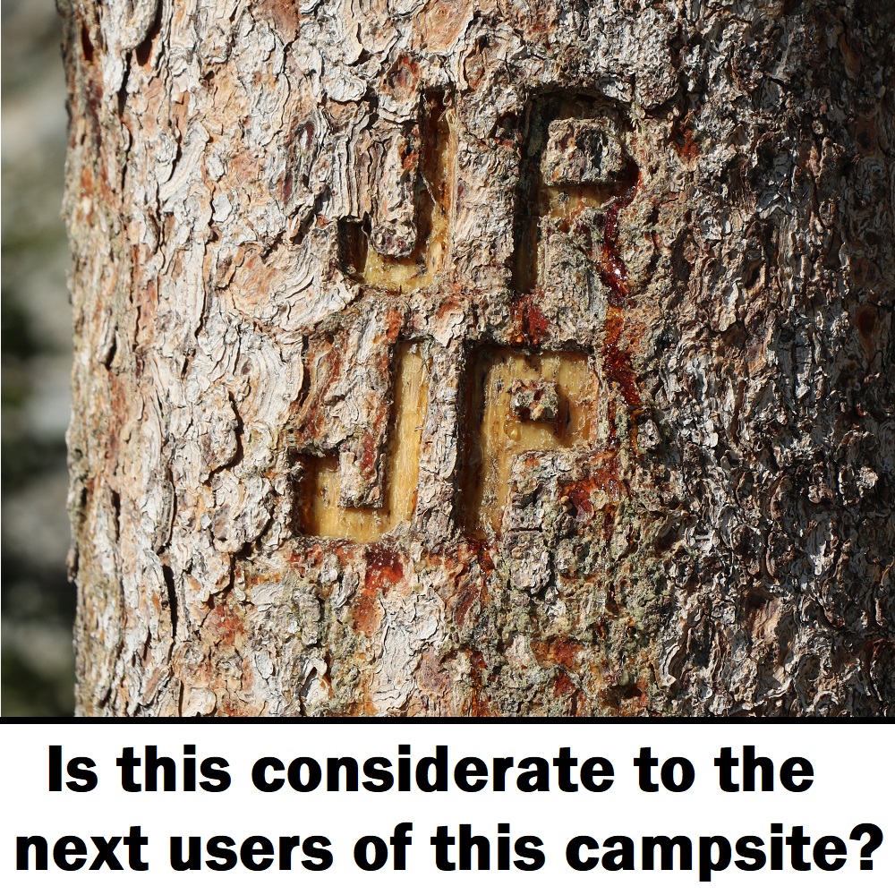 Leave No Trace Principle #4 – Leave What You Find