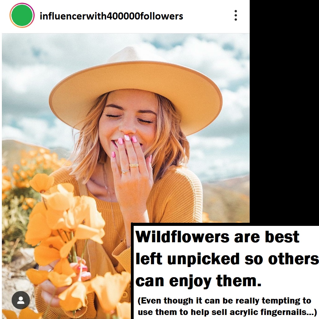 Leave No Trace Principle #4 – Leave What You Find