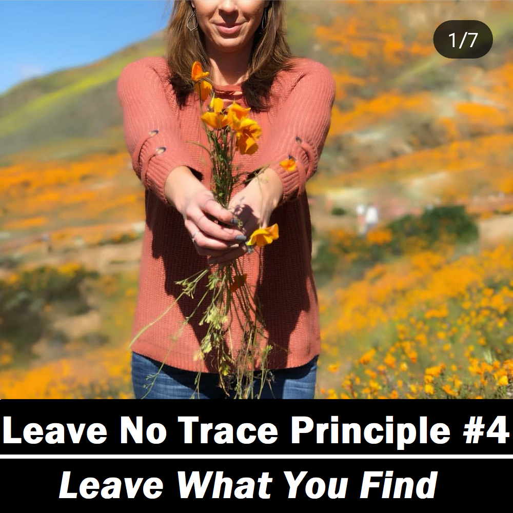 Leave No Trace Principle #4 – Leave What You Find
