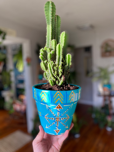 Aztec Arrow Planter | RejuveNate - Plants