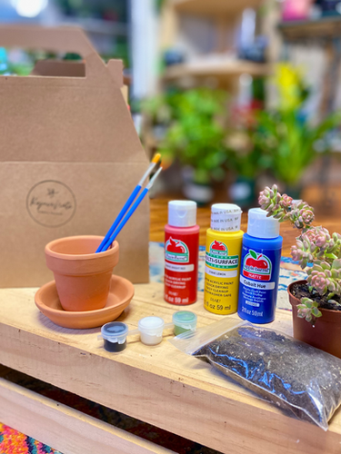 Paint & Plant Kit | RejuveNate - Plants