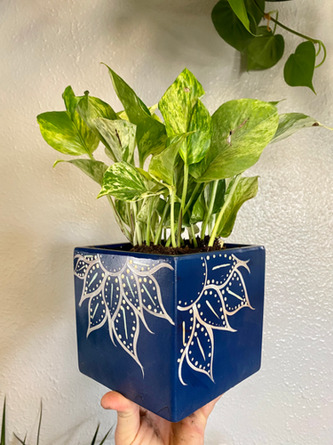 Cube Floral Design Planter | RejuveNate - Plants