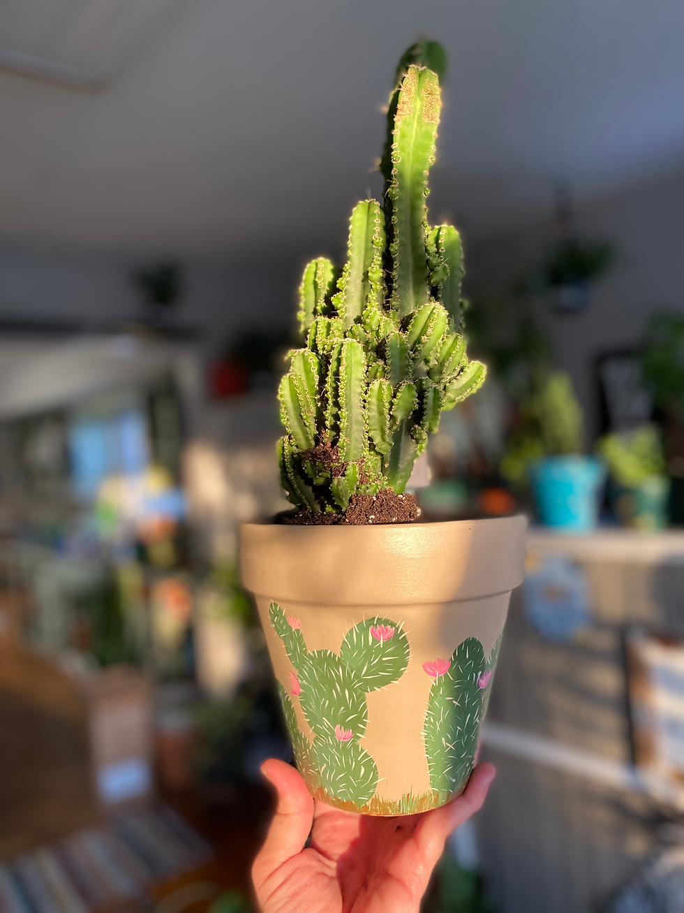 Cactus Planter | RejuveNate - Plants
