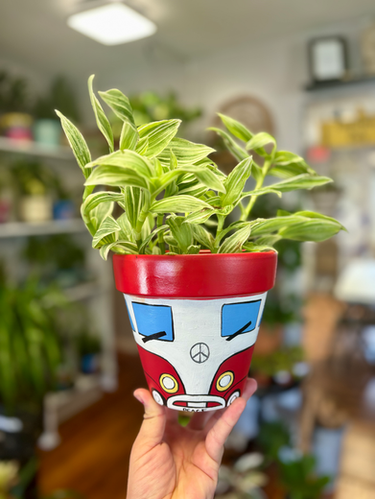 VW Bus Planter | RejuveNate - Plants