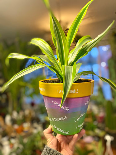 Mantra Planter | RejuveNate - Plants