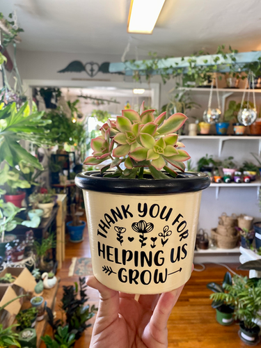 Thank You For Helping Us Grow | RejuveNate - Plants