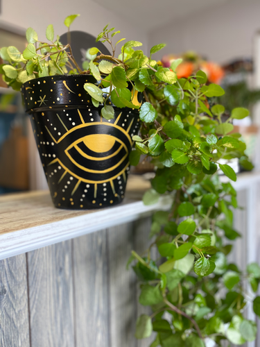Evil Eye Planter | RejuveNate - Plants
