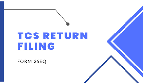 TCS Payments and E Filing