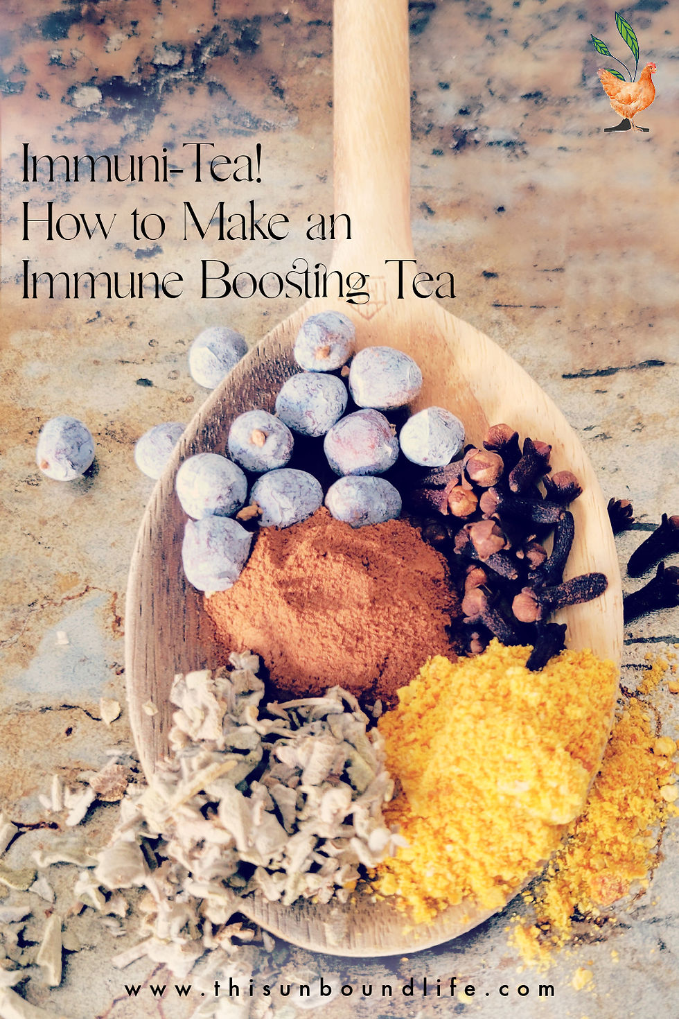 Immuni-Tea! How to Make an Immune Boosting Tea