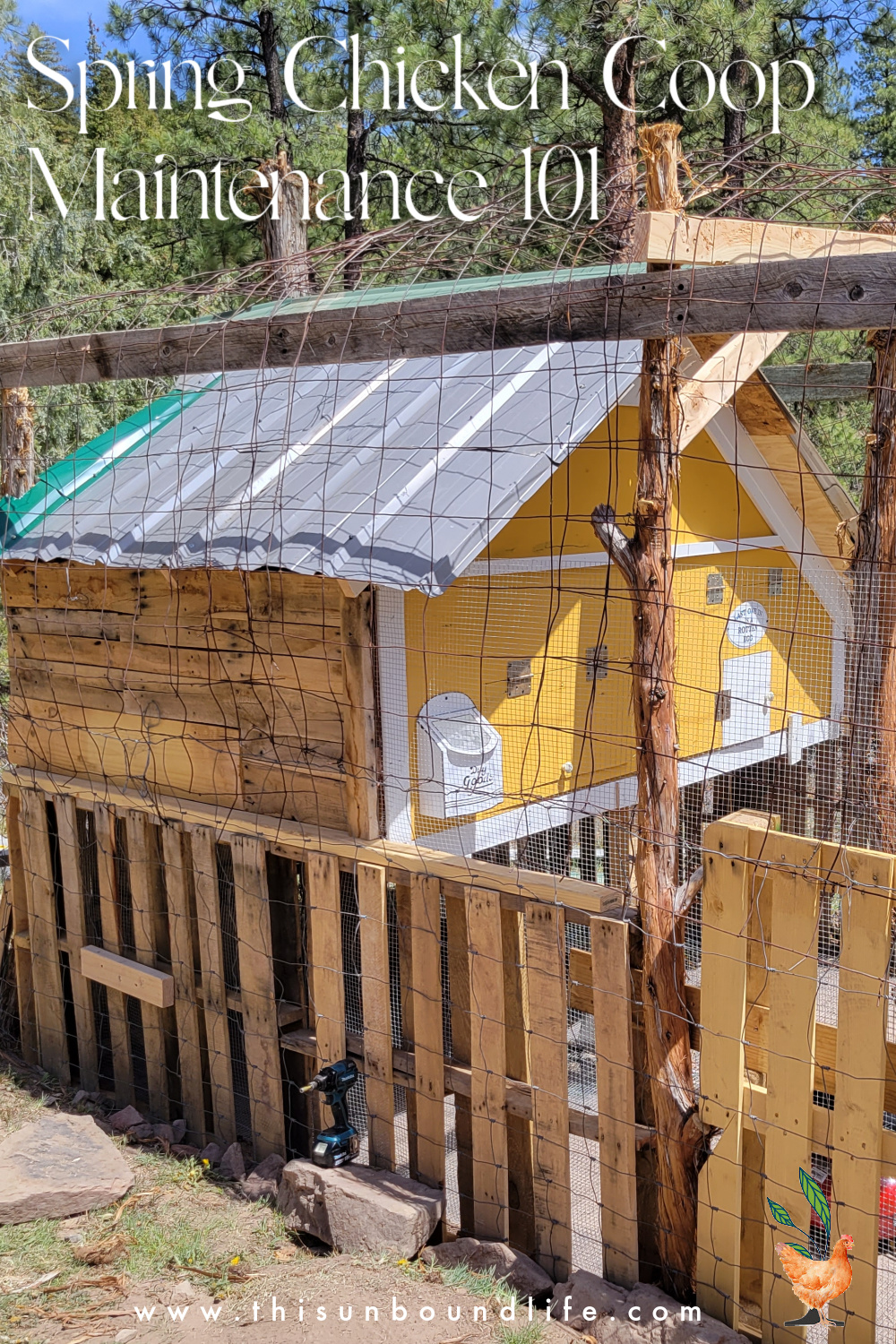 Spring Chicken Coop Maintenance 101