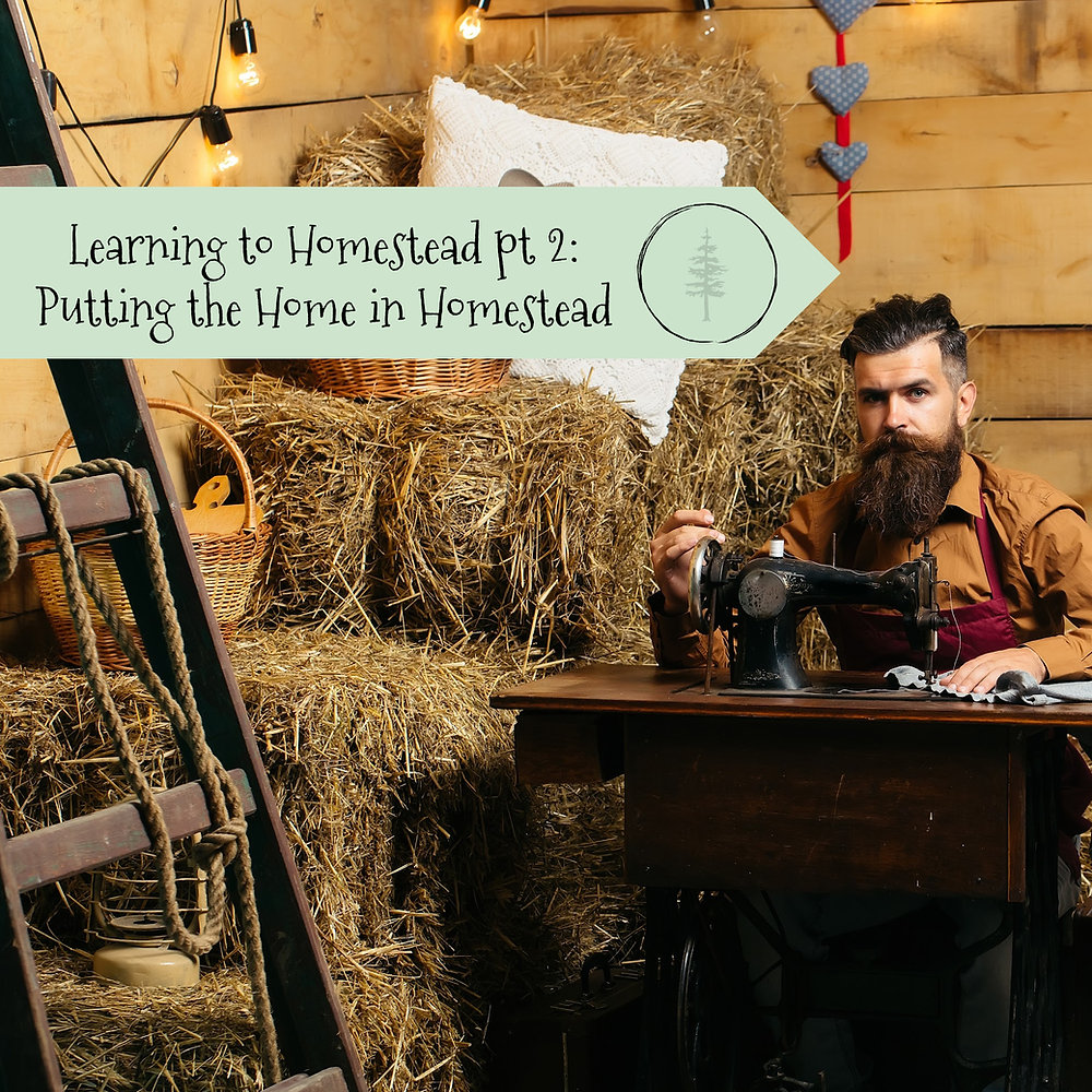 Learning to Homestead pt 2 - Putting the Home in Homestead