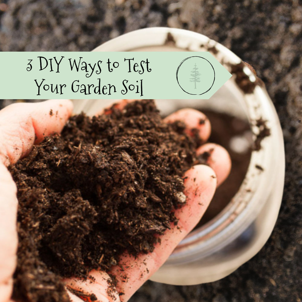 3 DIY Ways to Test Your Garden Soil
