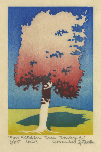 FORT WARDEN TREE STUDY 1 | Verum Ultimum Art