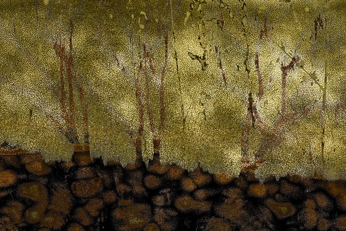 From the source: The HAND & the HEART, finding sanctuary in the process