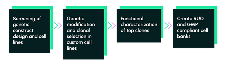 Synthetic Biology Foundry