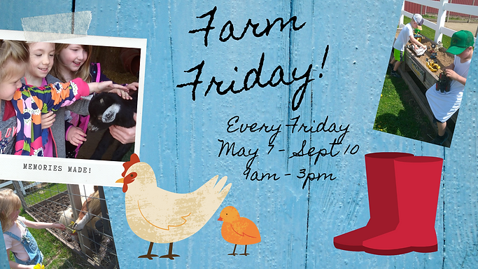 FARM FRIDAYS! | redbarnlearningfarm
