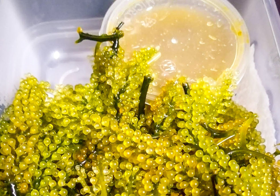 Langkawi Dishes You Must Try [2024]