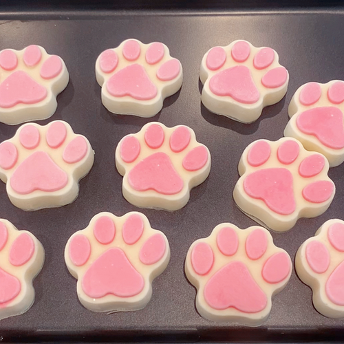 Mini Paw pudding | ipetbakery