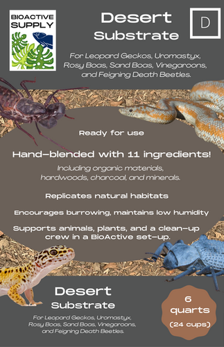 Desert Substrate 24 Qt. | Bioactive Supply