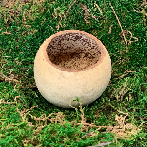 Bell Cups | Bioactive Supply