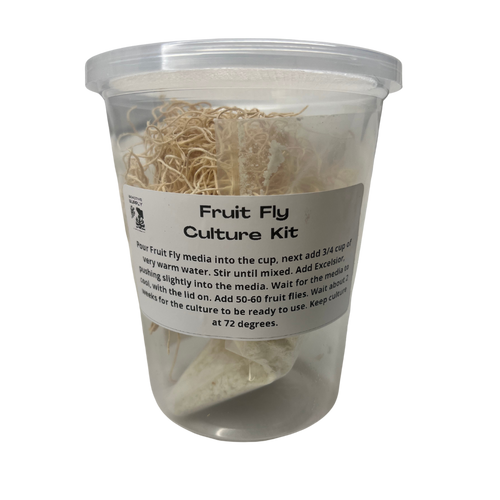 Fruit Fly Culture Kit | Bioactive Supply