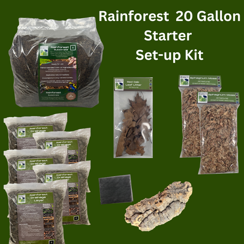 Rainforest BioActive 20 Gallon Starter Set-up Kit | Bioactive Supply