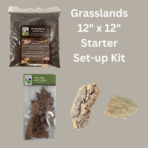 Grasslands BioActive 12" x 12" Starter Set-up Kit | Bioactive Supply