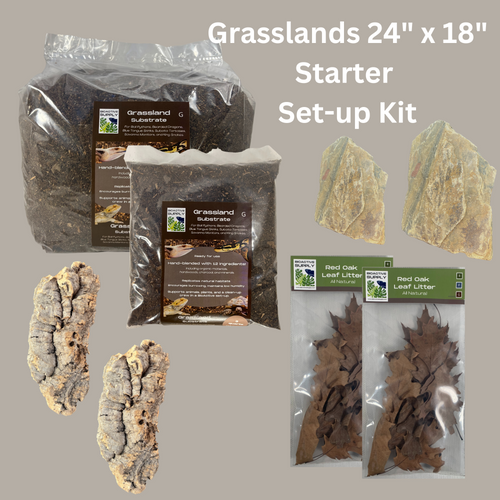 Grasslands BioActive 24" x 18" Starter Set-up Kit | Bioactive Supply