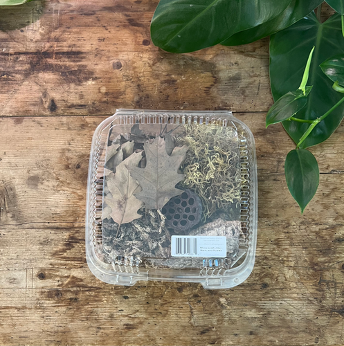 BioActive Moss Box | Bioactive Supply