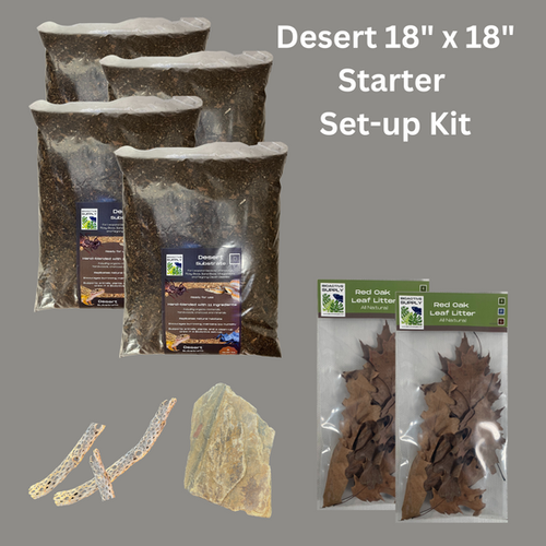 Desert BioActive 18" x 18" Starter Set-up Kit | Bioactive Supply