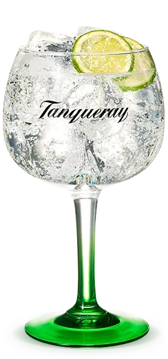 TANQUERAY DRINKS PARA O FIM DE SEMANA