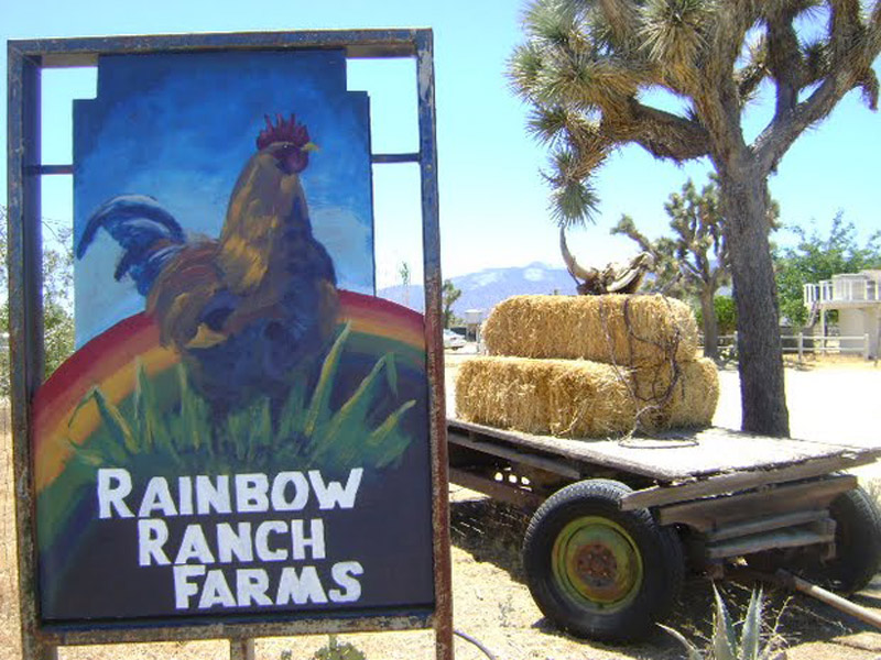 FAQ | Rainbow Ranch Farms