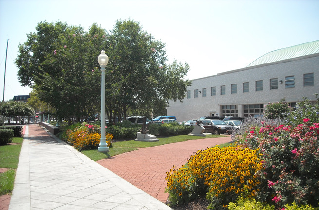 Halsey | Alphatec PC