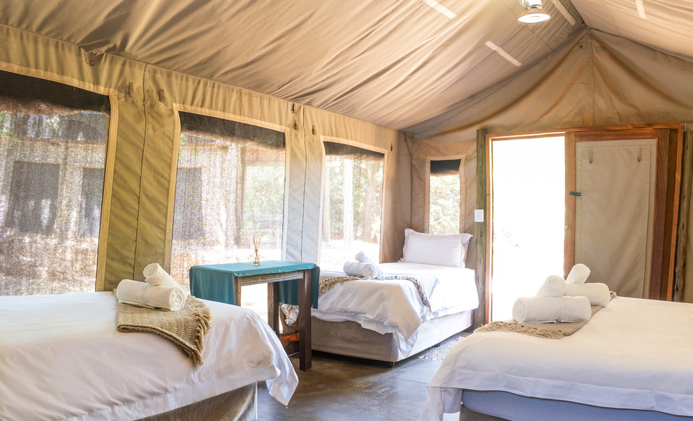 De Wildt Cheetah Lodge | De Wildt Adventure T| https://www ...