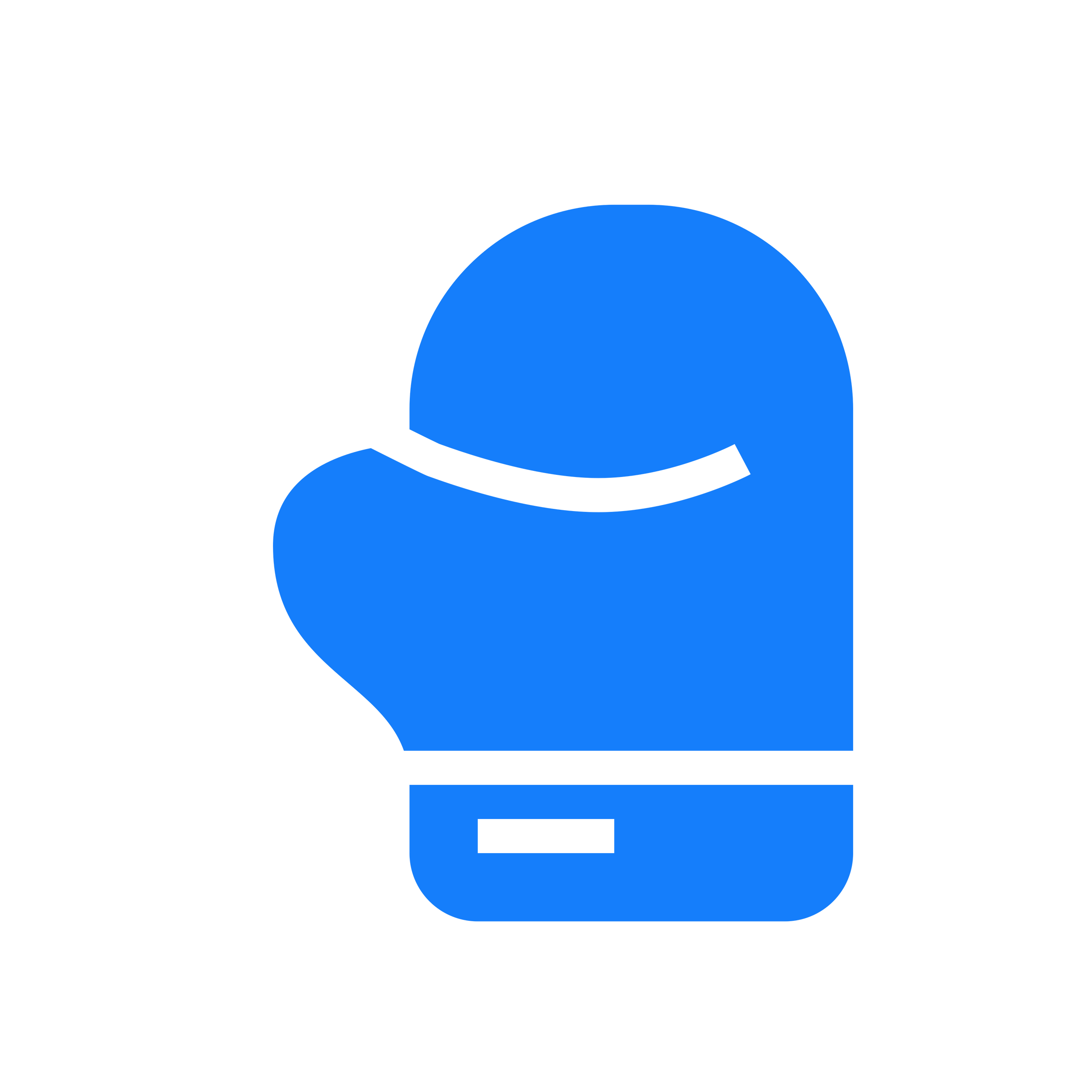 Boxing UBN boxing-ubn
