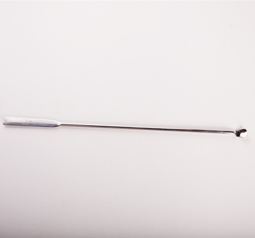 Spatula, Stainless Steel | Labware E-shop